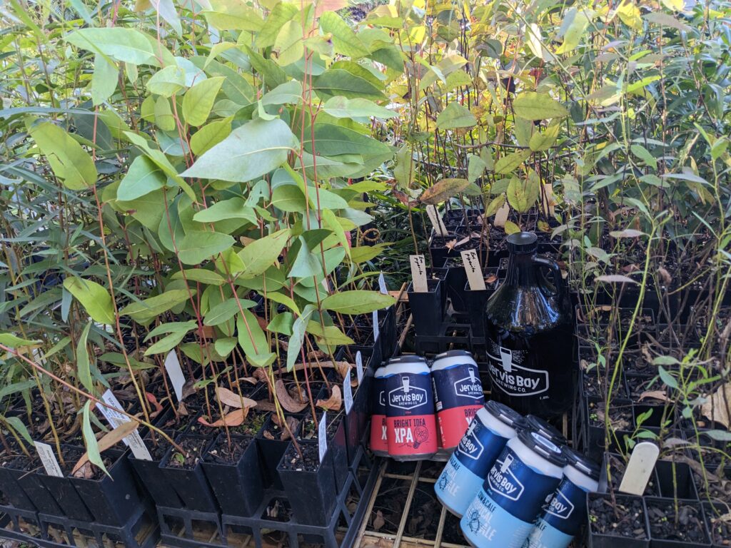 Earth Day - Native Plant Giveaway - Jervis Bay Brewing Co